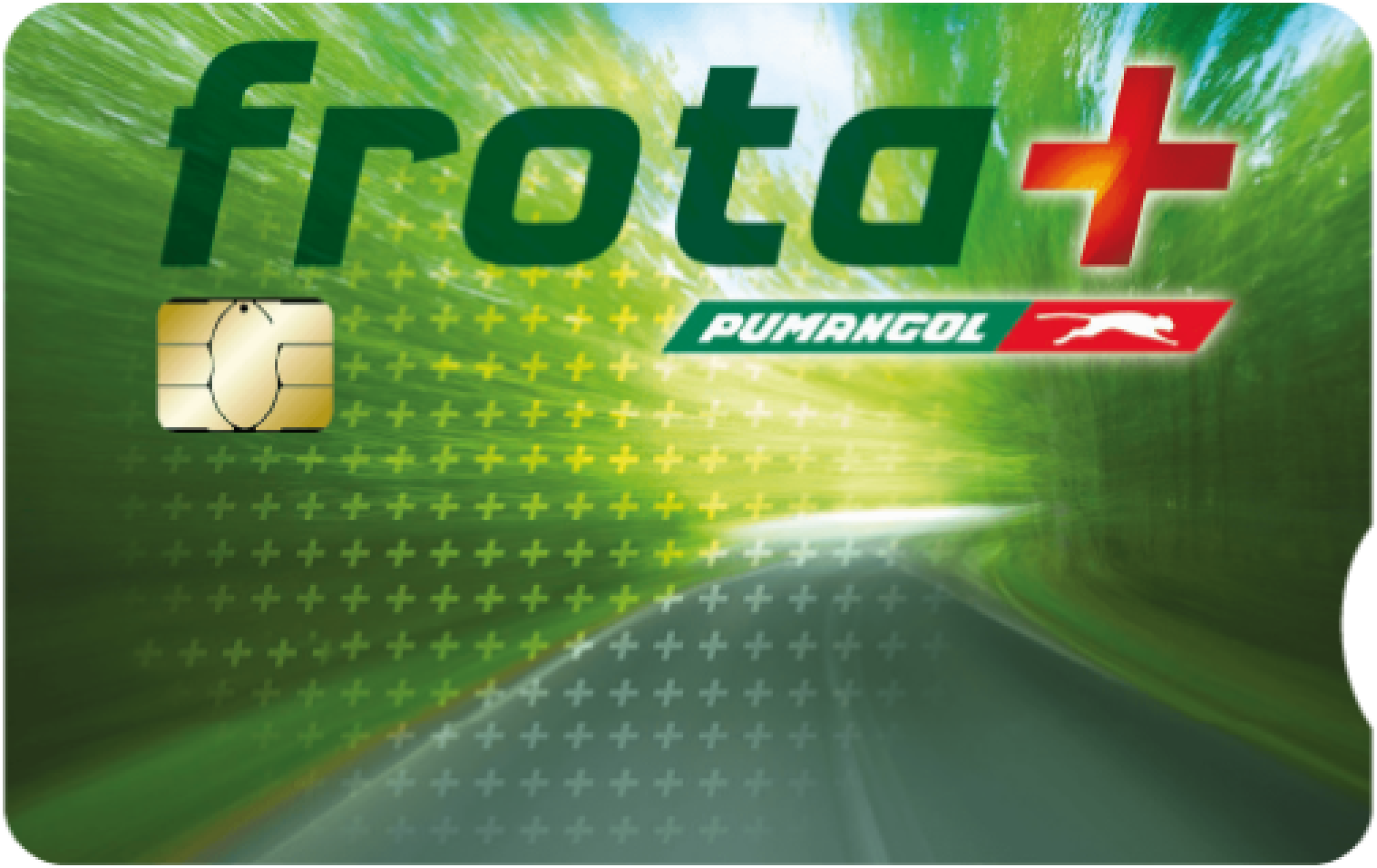 The Frota + System - Pumangol